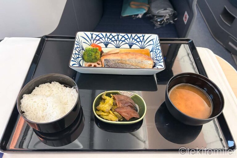 ANAビジネスクラス搭乗記 NH218 ミュンヘン→羽田 | Tekito Miler